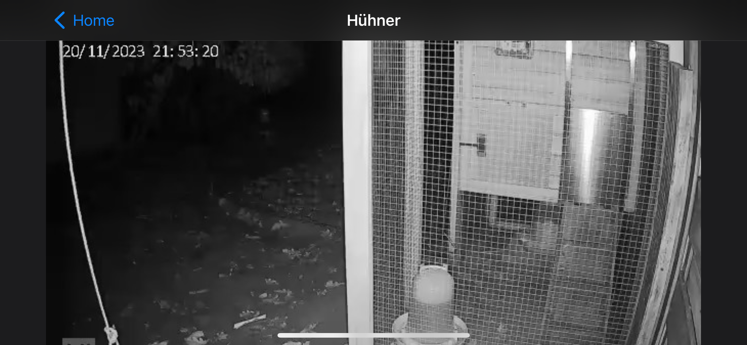 Outdoor Cam – Chicken Pi - 360°Friends